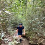 Discover Sacred Trails to Yongjangsa at Gyeongju's Namsan Mt - What to Expect: A Step-by-Step Breakdown