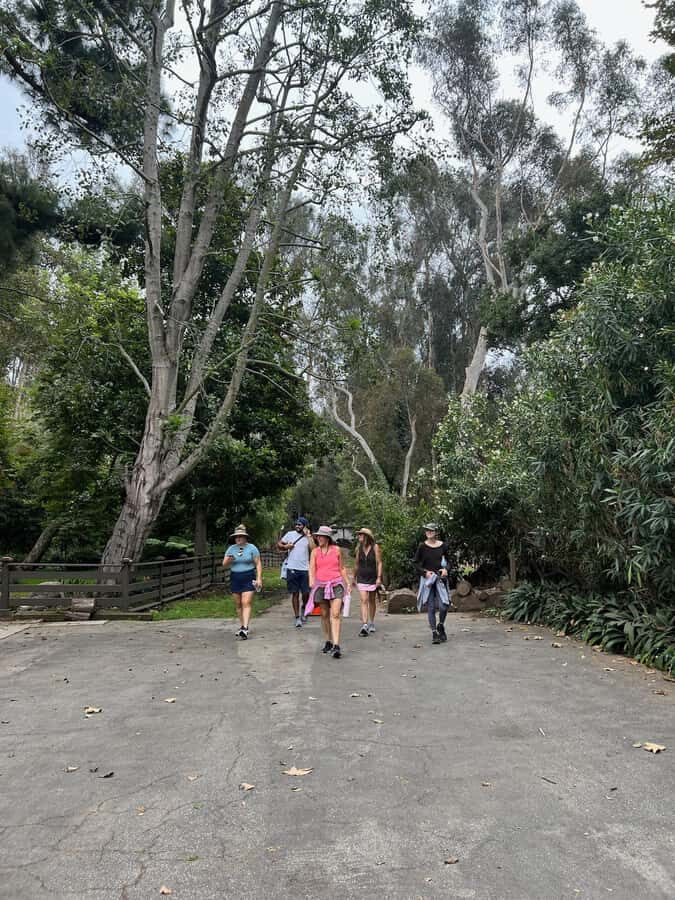 Discover Santa Monicas Hidden Stairways & Canyon Paths - Why This Tour Offers Great Value