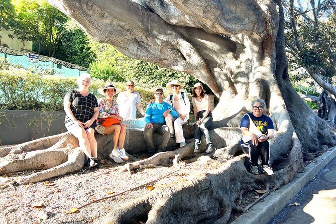 Discover Santa Monicas Lush Gardens, Trees & Neighborhoods - Who Will Love This Tour?