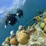 Discover Scuba Dive in Curacao - The Equipment and Safety