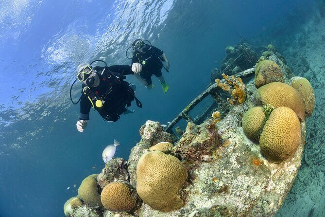 Discover Scuba Dive in Curacao - The Equipment and Safety