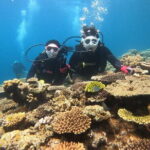 Discover SCUBA Diving 1 DIve Minna, Sesoko , Motobu Okinawa - Practical Details and Considerations