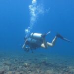 Discover Scuba Diving Day Trip in Amed and Tulamben - Who Will Love This Tour?