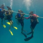 Discover Scuba Diving - DSD - The Value of a Guided Dive at a Conservative Depth