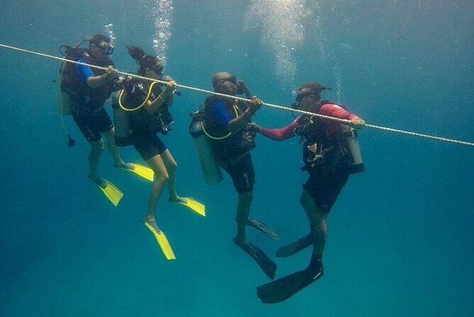 Discover Scuba Diving - DSD - The Value of a Guided Dive at a Conservative Depth