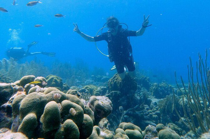 Discover Scuba Diving Experience - The Sum Up