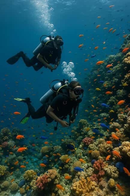 Discover Scuba Diving for Beginners  Negril - The Itinerary: A Step-by-Step Breakdown
