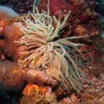 Discover Scuba Diving in Curacao - What Travelers Can Expect: The Practicalities