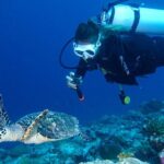 Discover Scuba Diving in Koh Lanta, Thailand - What to Expect on Your Koh Lanta Discover Scuba Trip