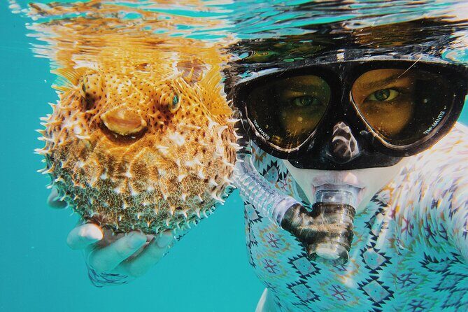 Discover Scuba Diving in Montego Bay-ONE Tank (First time Diving) - Authentic Underwater Encounters