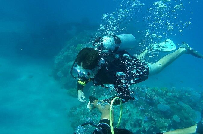 Discover Scuba Diving in Negril - Who Will Love This Experience?
