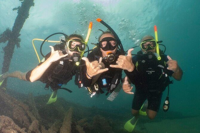 Discover Scuba Diving in San Juan - What Makes This Stand Out?