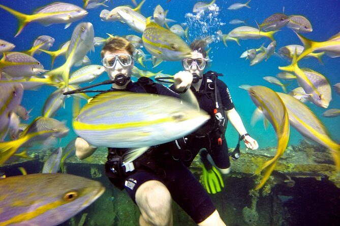 Discover Scuba Diving with No Certification in St Thomas - Authentic Experiences and Honest Perspectives
