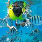Discover Sosua's Underwater World & Beach Day - An In-Depth Look at the Experience
