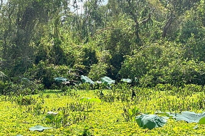 Discover Tan Lap Floating Village: A Tranquil Mekong Delta Escape - Practical Tips for Travelers
