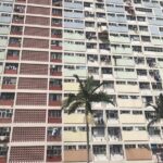 Discover the Best Instagram Spots in Hong Kong - Private tour - Who Will Love This Tour?