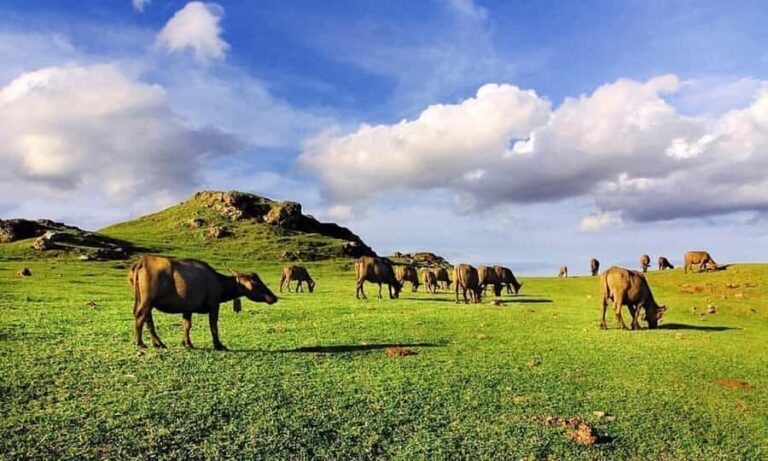 Discover the Heart of Lombok: An Authentic Sasak Tour - Practicalities and Value