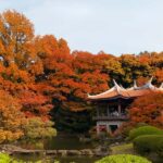 Discover the History of Shinjuku Gyoen-Private Walking Tour - A Detailed Breakdown of the Tour