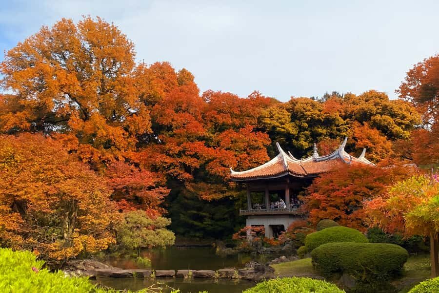 Discover the History of Shinjuku Gyoen-Private Walking Tour - A Detailed Breakdown of the Tour
