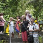 Discover the Magic of Annandale Waterfall & Forest Park - FAQ