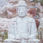 Discover the Timeless Charm and Natural Beauty of Nara - Who Will Love This Tour?