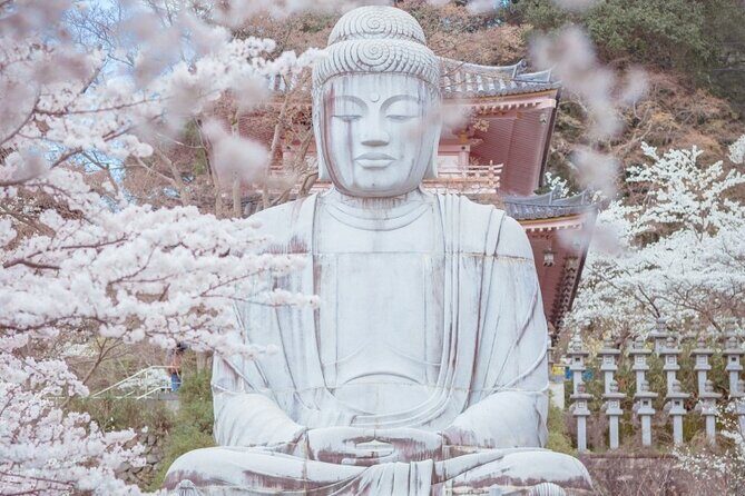 Discover the Timeless Charm and Natural Beauty of Nara - Transportation and Comfort