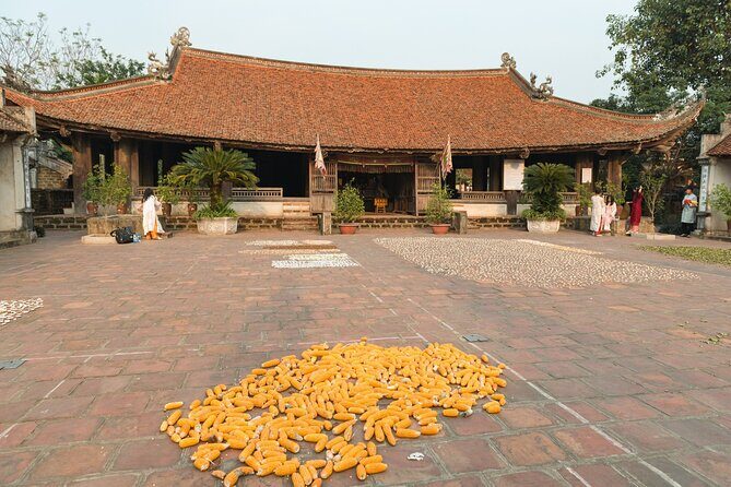 Discover Vietnams Ancient Village Duong Lam Jeep Tour from Hanoi - Why This Tour Works Well