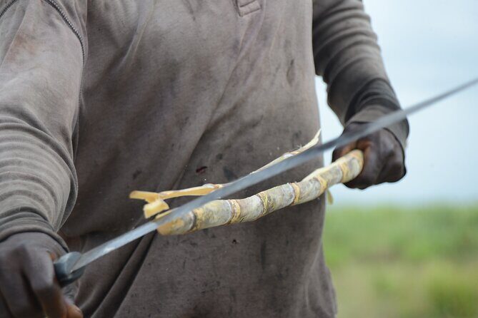 discovery and adventure of the local Dominican life in small group - What Makes This Tour Special?