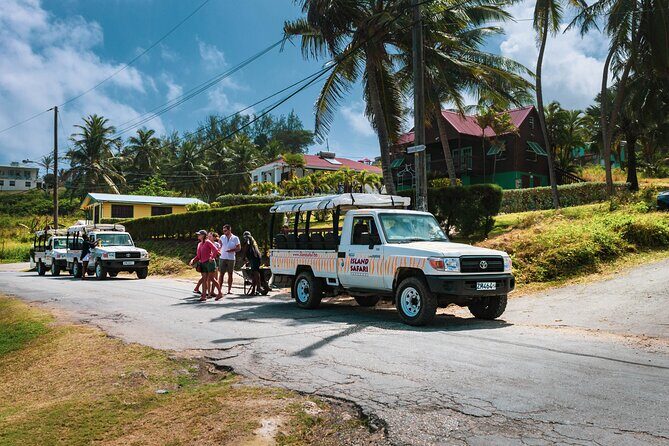 Discovery Safari - What’s Included and What’s Not