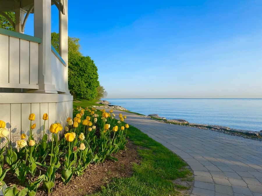 Discovery Tour: From Niagara Falls to Niagara-on-the-Lake - The Itinerary in Detail