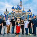 Disneyland or Disneysea Transfer to or from Tokyo English Driver - The Details: What to Expect