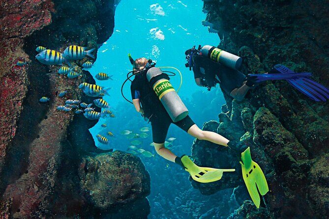 Dive Boat Tour on Catalina Bayahibe Island - FAQs