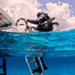 Diving for Beginners in Cozumel: Your First VIP Experience - What Makes This Tour Stand Out