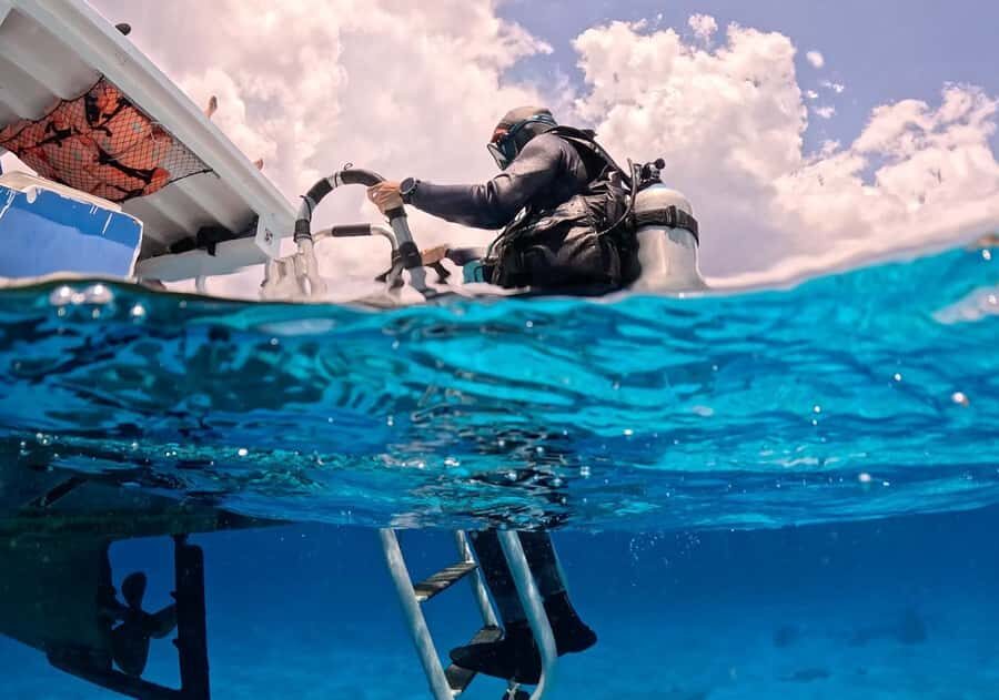 Diving for Beginners in Cozumel: Your First VIP Experience - What Makes This Tour Stand Out