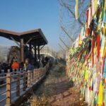 DMZ Half Day Tour Korea Border Highlights - Final Thoughts: Who Is This Tour For?