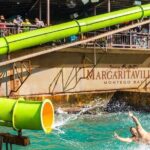 Doctors Cave Beach and Margaritaville Private Tour - Price and Value Analysis