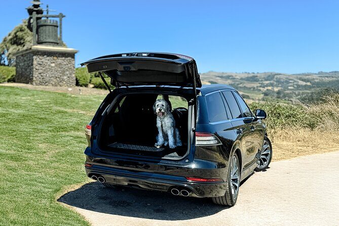 Dog Friendly Wine Tour in Private Luxury SUV - What Travelers Say