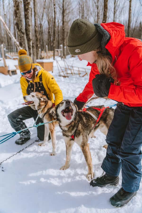 Dogsledding Upper Laurentians near Mont-Tremblant - Who Will Enjoy This Tour?