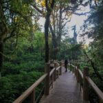 Doi Inthanon National Park and Hiking Kew Mae Pan Trail - Authentic Experiences and Practical Tips
