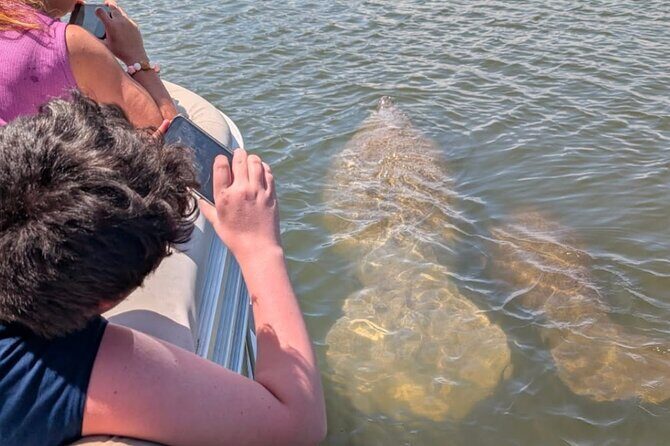 Dolphin and Manatee Boat Tour from Cocoa Beach and Port Canaveral - A Closer Look at the Experience