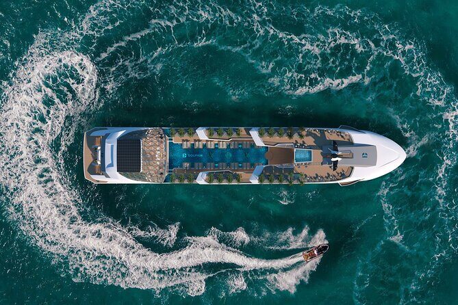 Dolphin Cruise  Experience Halong Bay in Timeless Luxury - A Closer Look at the Itinerary