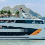 Dolphin Day Cruise: Halong Bays Finest Luxury Escape from Harbor - What Travelers Say (Based on Reviews)
