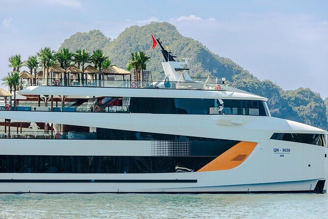 Dolphin Day Cruise: Halong Bays Finest Luxury Escape from Harbor - What Travelers Say (Based on Reviews)