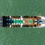 Dolphin Luxury Day Cruise: Discover the Best of Halong Bay - Who Will Love This Tour?