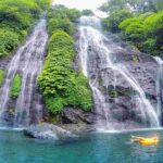 Dolphin North Bali Tour - The Transport and Overall Experience