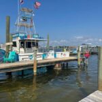 Dolphin & Scenic Bay Sightseeing Cruise Up to 49, Pensacola - What to Expect on the Tour
