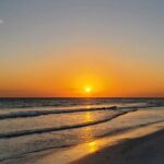 Dolphin Sunset Cruise with Drinks Included - What Travelers Say