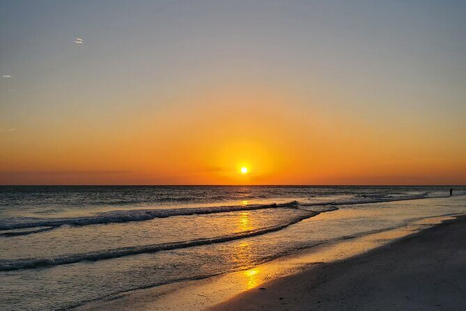 Dolphin Sunset Cruise with Drinks Included - What Travelers Say