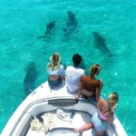 Dolphin Watching and Snorkeling Key West - Exploring Hidden Spots