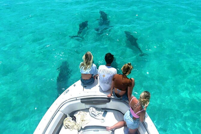 Dolphin Watching and Snorkeling Key West - Exploring Hidden Spots